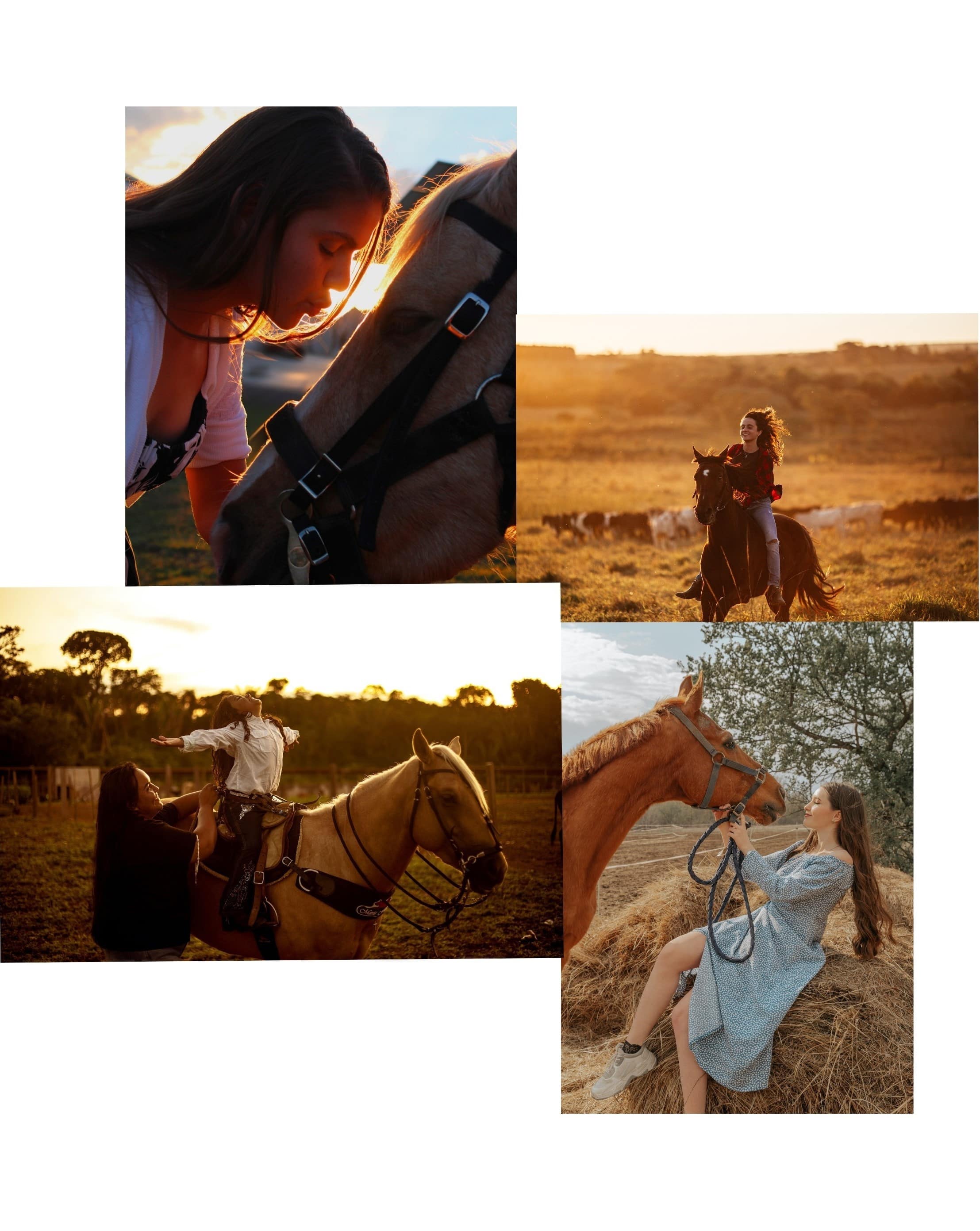 Spirit Ranch | Riding academy