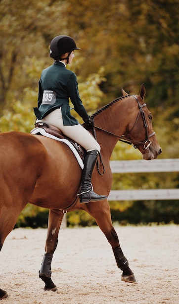 Spirit Ranch | Riding academy